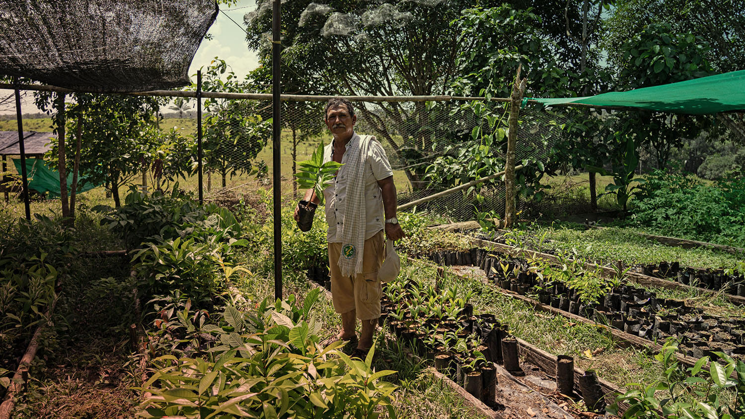Amazon communities fight against deforestation